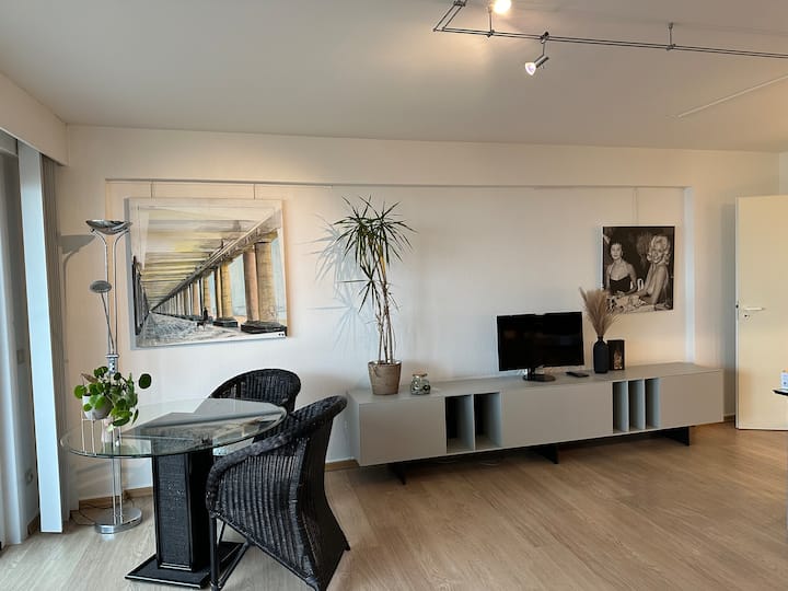 1 - Slaapkamerappartement Met Frontaal Zeezicht - Ostende