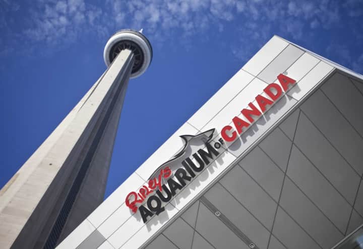 2 Bed & Wash Condo With Parking - Vaughan
