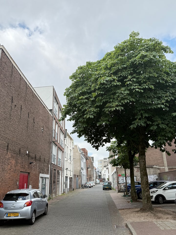 Perfect Verblijf Vierdaagse (Zelfstandig 53m2) - Nijmegen