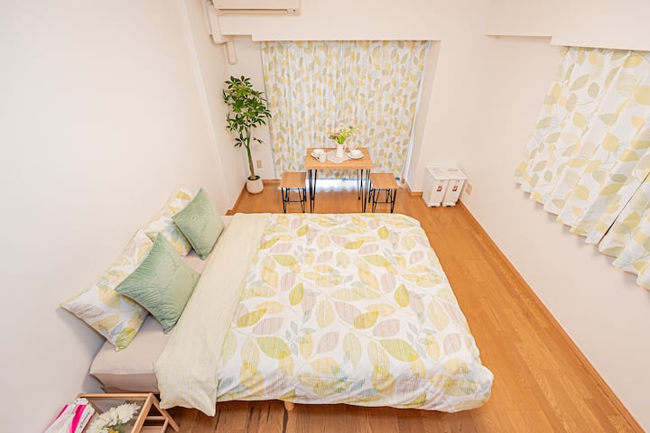 【L3】位置绝佳/上野站2分/31㎡/近上野公园/新宿涉谷银座直达/机场直达/高速wifi - Ginza