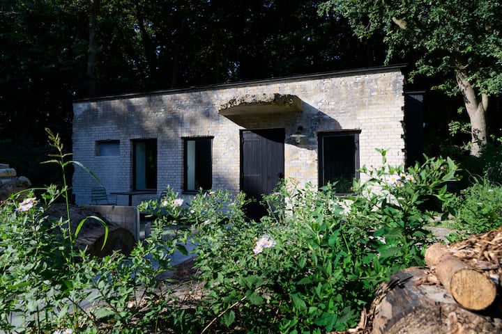 Bunker Uit De Wo2 Aan De Ruigeweg In Privé Bos - Callantsoog