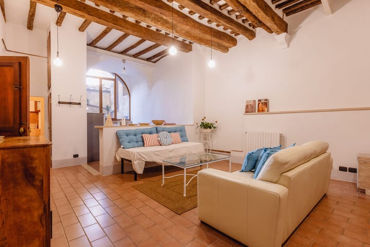 Loft D'artista - Contrada Selva - Siena