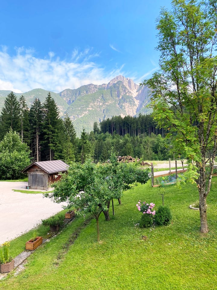 Alloggio In Cadore: Natura&relax - Pieve di Cadore