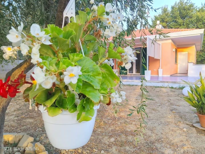 Le Casette - Residenza Piano Della Corte - Castellabate