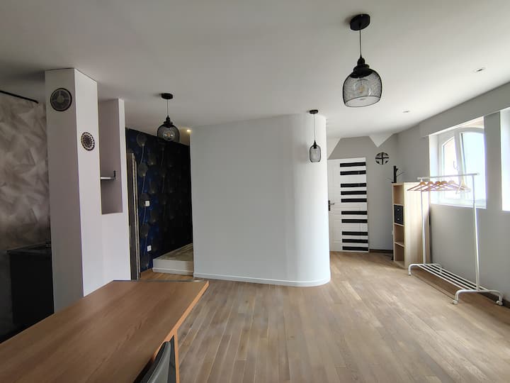 Grand Studio 48m2 - Armbouts-Cappel