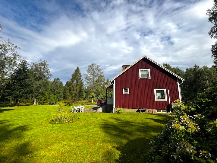 Forest Paradise - Laxå