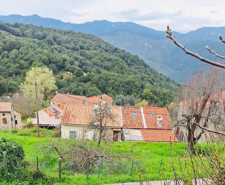 Maison De Village à Carbuccia - Bastelica