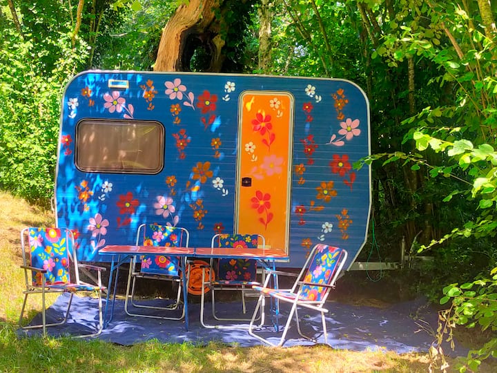 Caravane Vintage - Deux-Sèvres