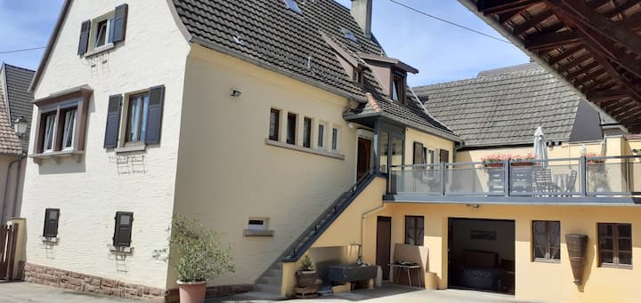 Les Hirondelles Du Mambourg - Riquewihr