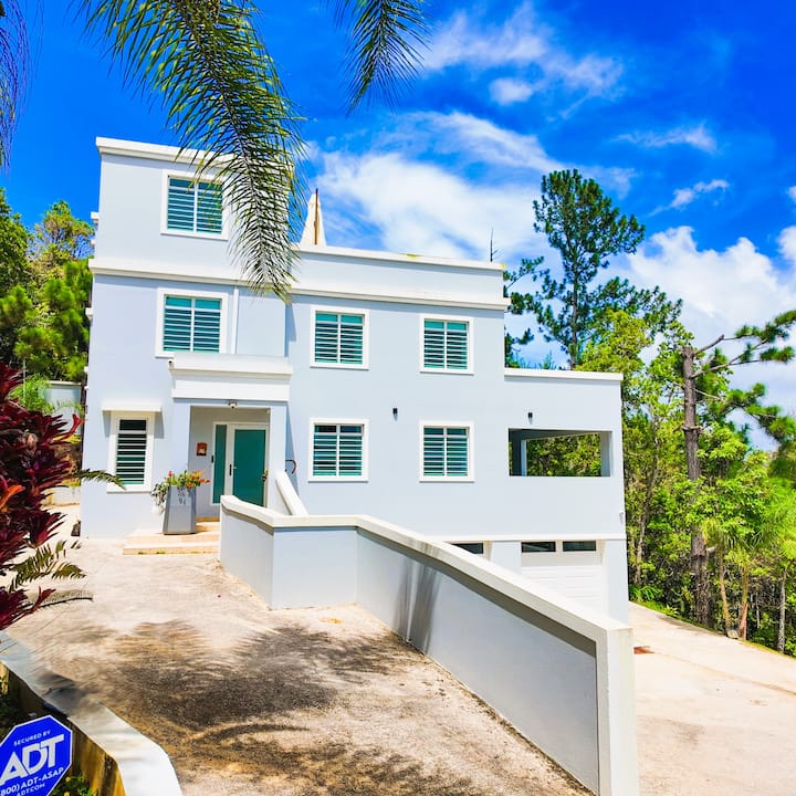 Casa Las Nubes - Cayey - Cayey