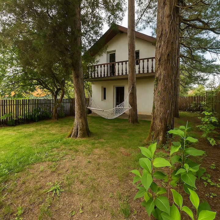 Wood & Waves - Georgia