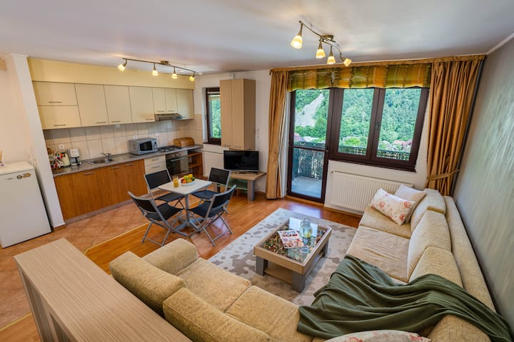 Soleil Sinaia Suite • Balcony & Mountain View - Comarnic