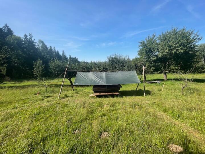 Stargazing - Meadow Bed - Bodenmais