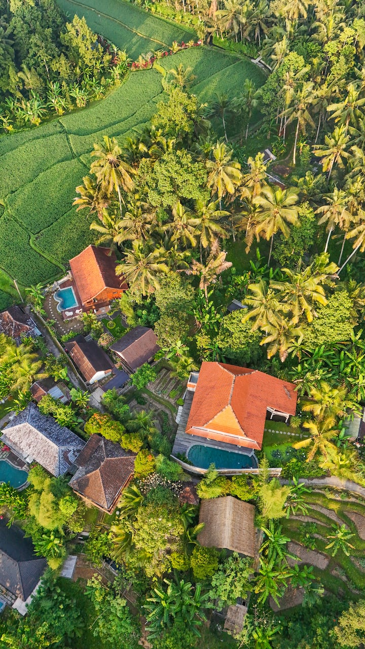 Luxury Farm Resort 2 Pool Villas - Ubud