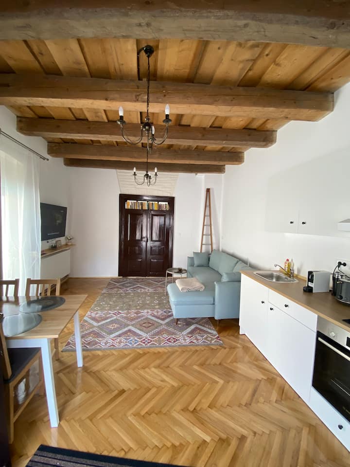 Old Traditional Courtyard House - Brașov