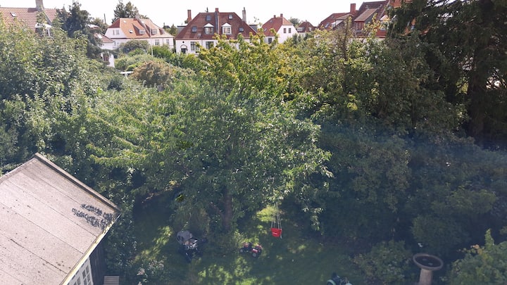 Tagetage I På 2.sal I Stor Familiebolig - Copenhagen