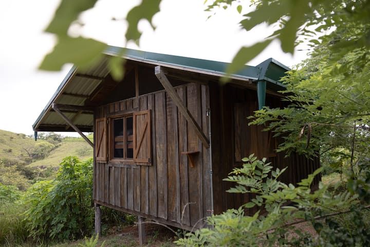 Dorm Ingham - Nosara