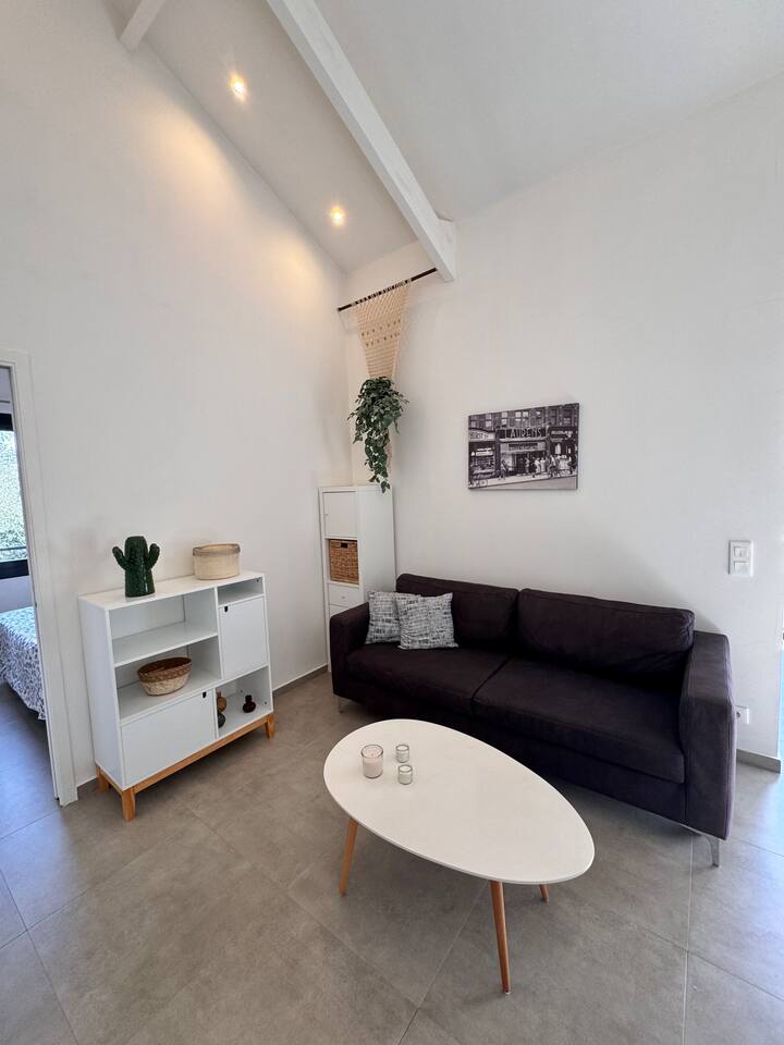 Bel Appartement Climatisé 2 Pièces 33 M2 - Beaulieu-sur-Mer