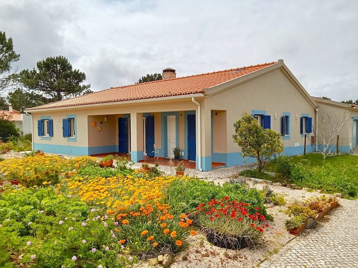 Casa M70 - Odeceixe