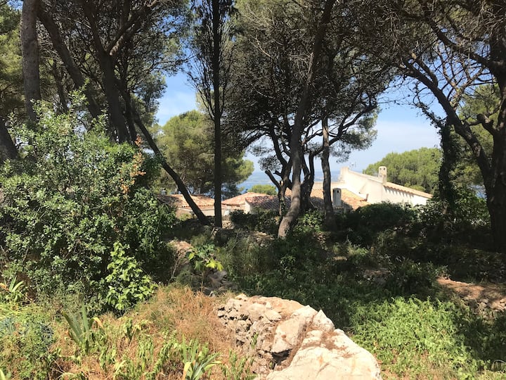 Charmante Cabanette Sur Le Mont Saint-clair - Sète