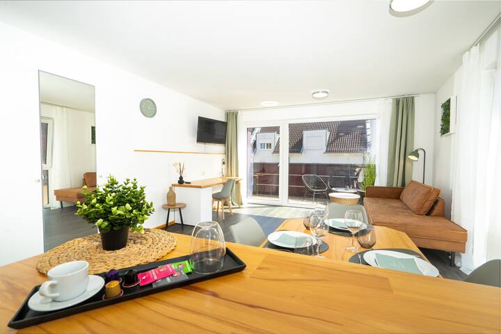 Apartment House Schloßgasse - Neckarsulm