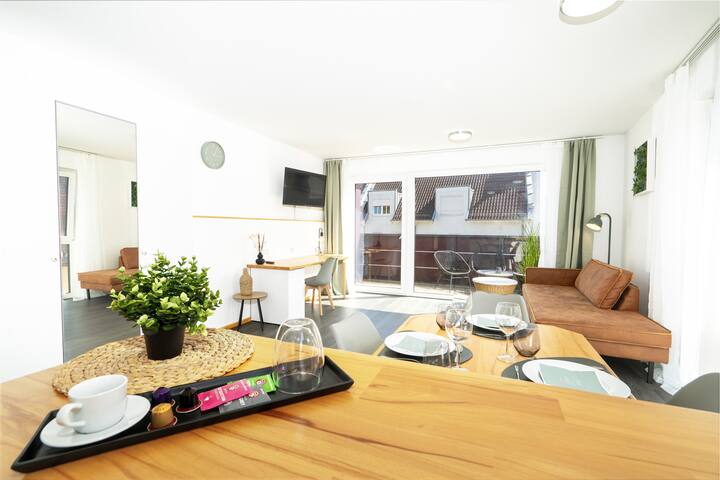 Apartment House Schloßgasse - Neckarsulm