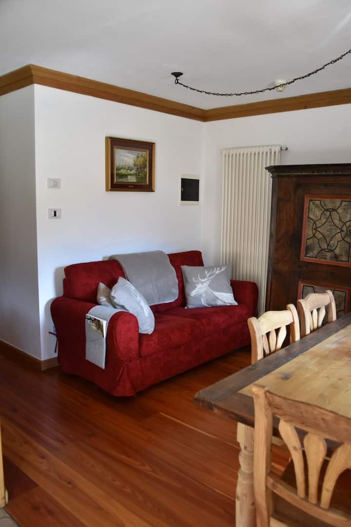 Cozy Family Apartment Someda (Moena) - Predazzo