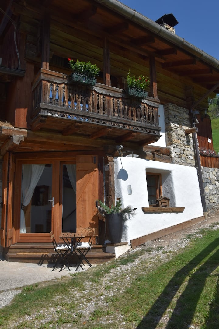 Cozy Family Apartment Someda (Moena) - Moena