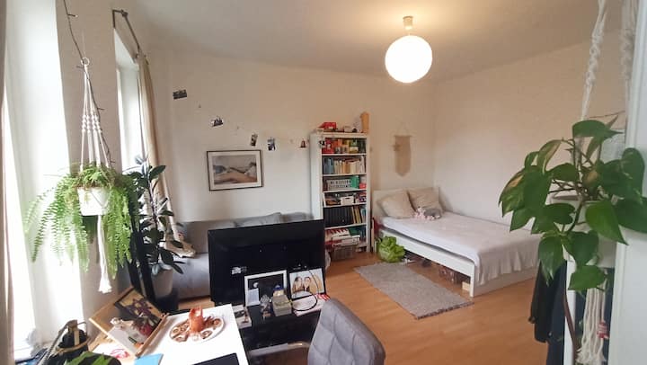 Room Near Main Station - Vienne