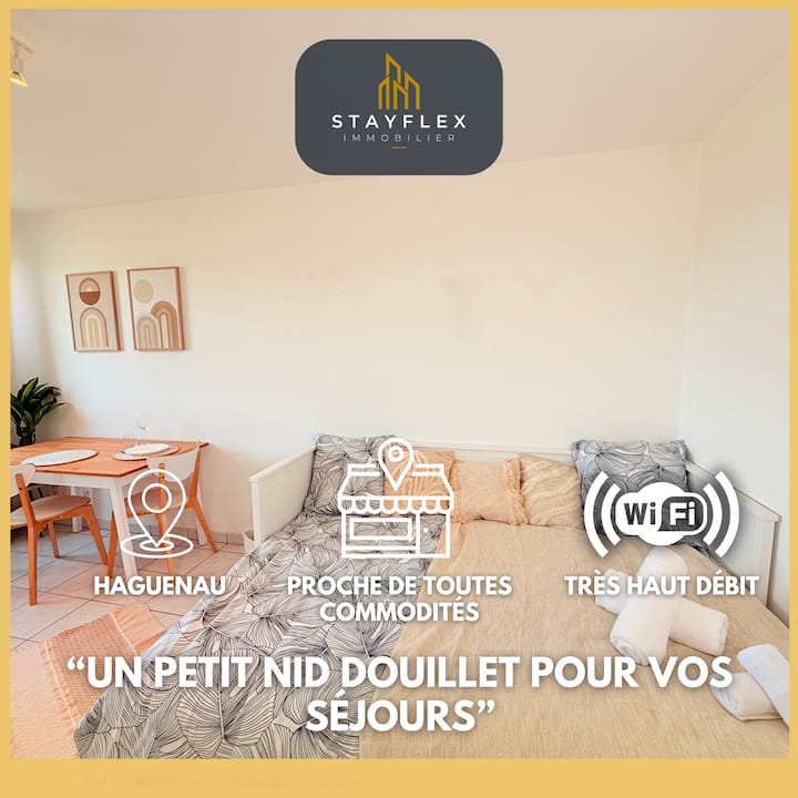 Le Nid Douillet – Parking Inclus – Haguenau - Haguenau