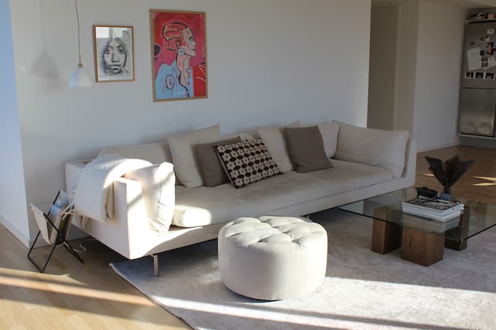 Penthouse: Private Rooftop Terrace W. Canal View - Copenhagen