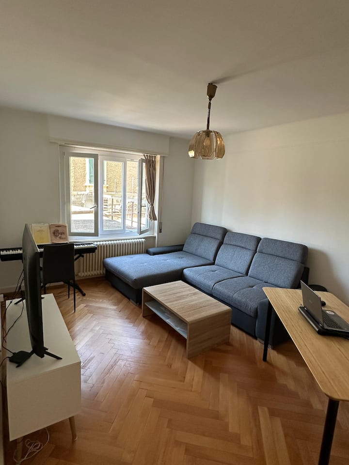 Appartement Rénové - Lausanne - Lausanne