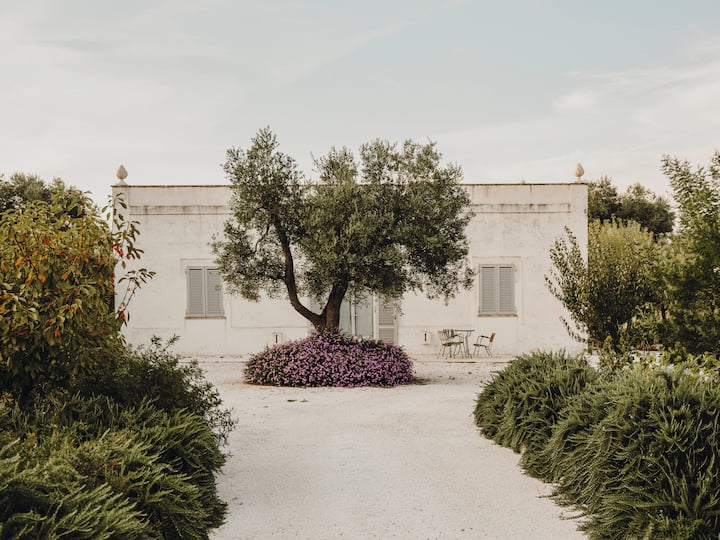 Villa Castelluccio - Ceglie Messapica