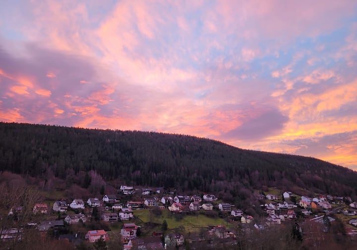 Stilvolle 100qm Ferienwohnung Mit Großer Terrasse. - Bad Wildbad