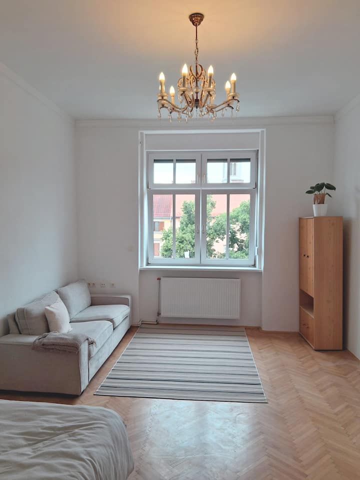 Zentrale Altbauwohnung Mit Moderner Ausstattung - Graz