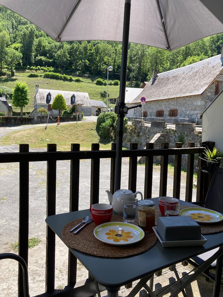 Studio Centre De Saint Lary - Aragnouet