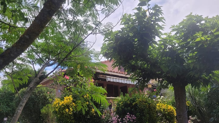 Maisonnette Avec Grande Terrasse Et Jardin - Montauroux