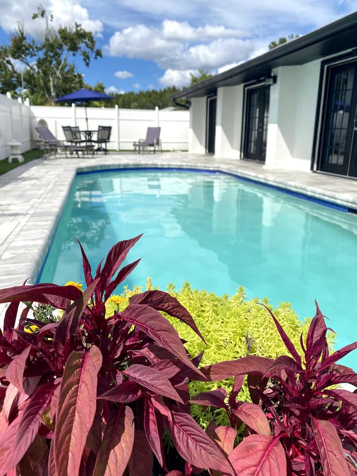 Entire Home In Tampa - La Villa Vacanza - Keystone, FL