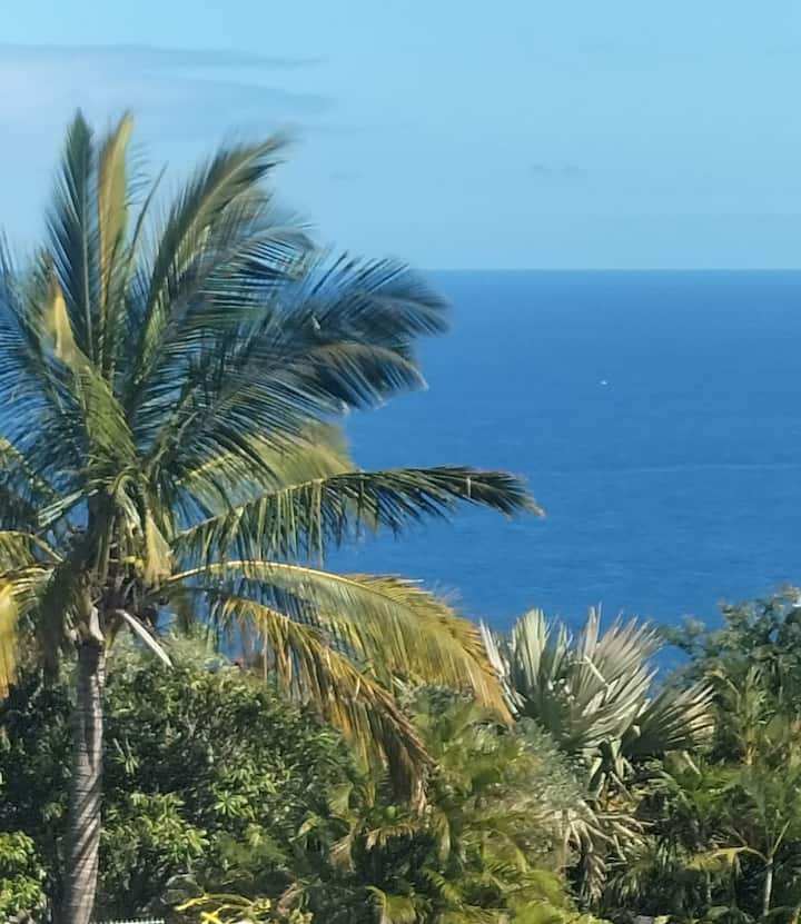 Villa Haut Standing Avec Piscine Et Belle Vue Mer - Saint-Leu