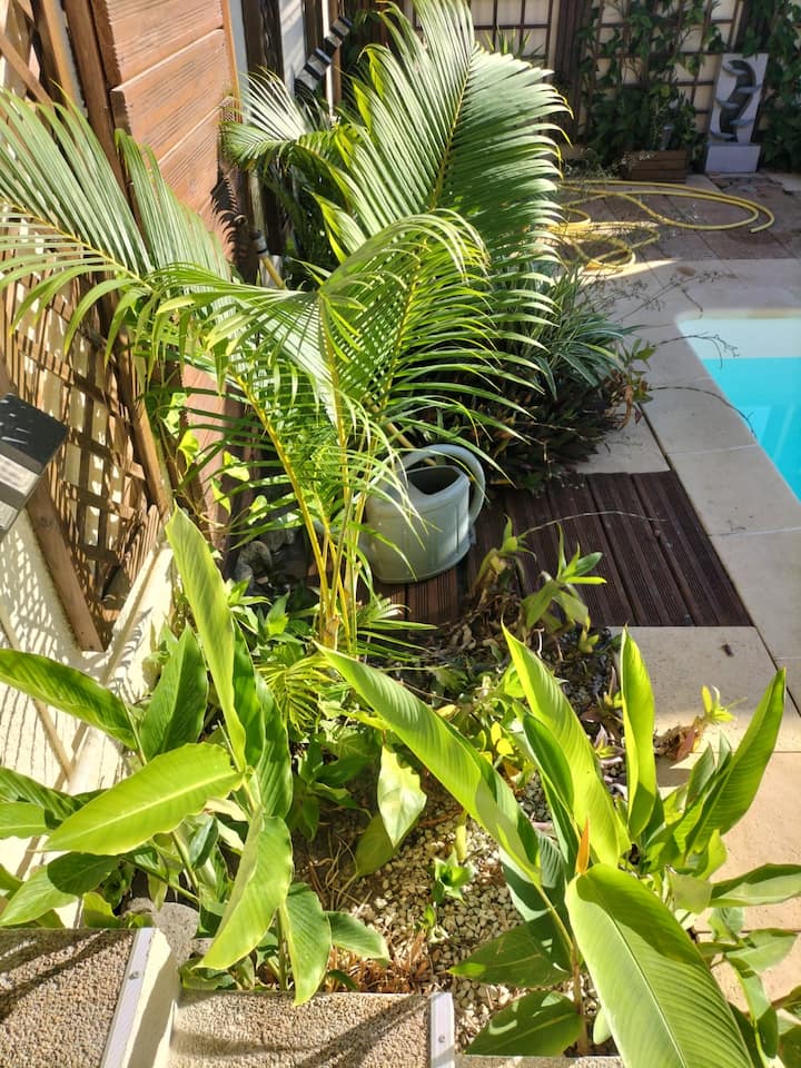 Belle Chambre Double Vue Jardin Et Balcon - Saint-Leu