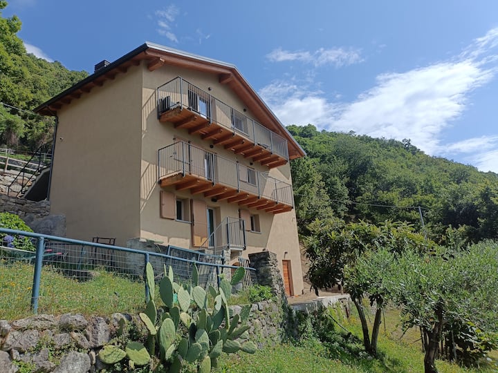 Costiera Dei Cech:casa Nel Bosco - Foppolo