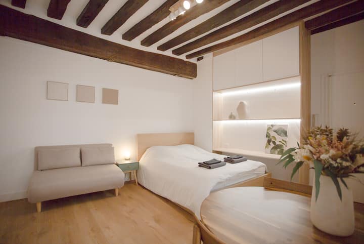 Notre Dame 3-min Walk-elegant Studio 4 Sleeper - Grand Palais