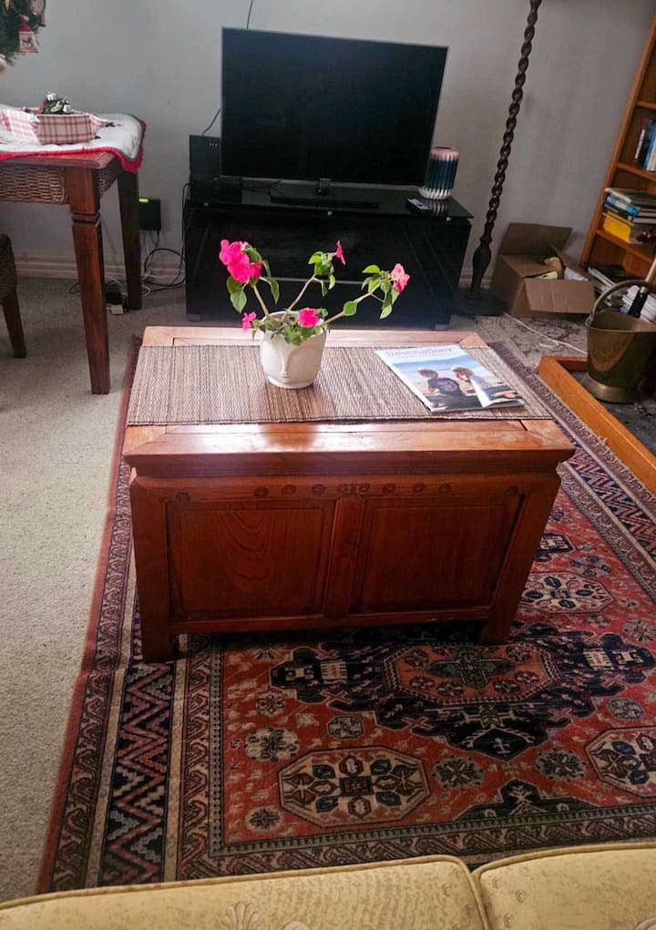 Home Away From Home, Fast Wifi & Easy City Access - Wellington