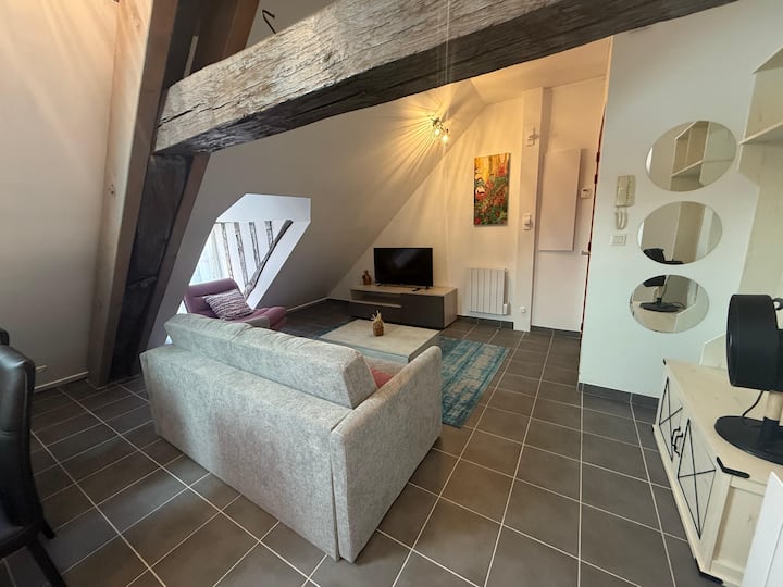 Charme & Calme, Bouchon De Champagne - Troyes - Troyes