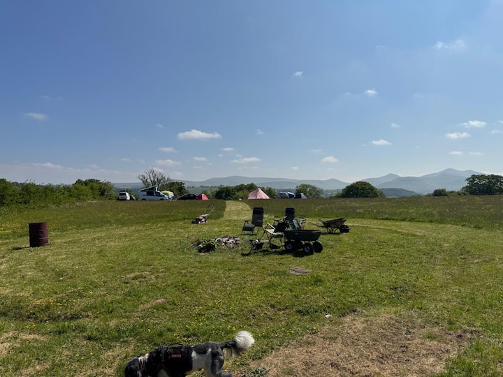 Brecon Jazz '25 Festival Bell Tent Camping: Plot 3 - Brecon