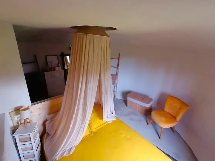 A Grotta : Insolite Face à L'oliveraie - Aléria