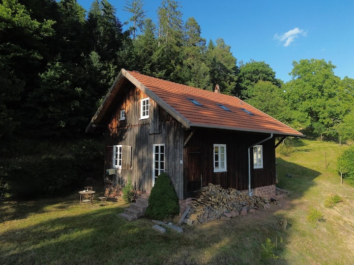 Le Chalet Du Bouleau. - Moselle