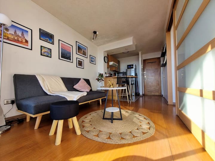 Luminoso Departamento Santiago. Cercano A Metro - Santiago