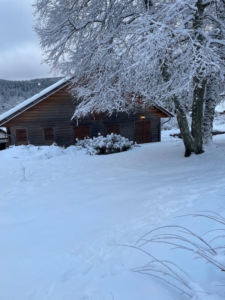 Chalet Au Coeur De La Nature - Xonrupt-Longemer