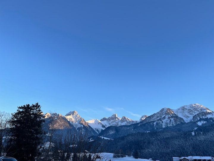Grand Appart. Spacieux Rénové - Leysin